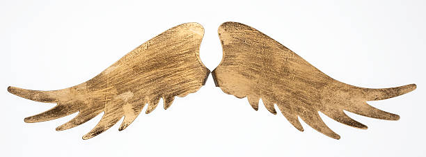 Angel Number Pictures | Download Free Images on Unsplash