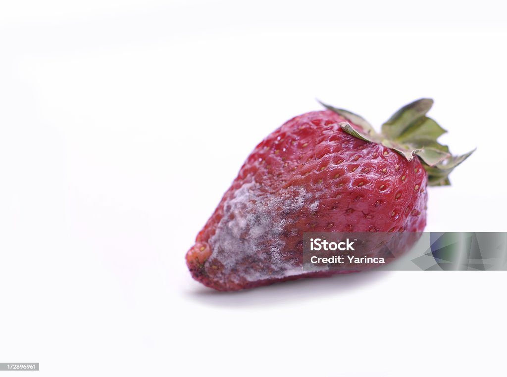 Stroberi Busuk Foto Stok Unduh Gambar Sekarang Kapang Potong