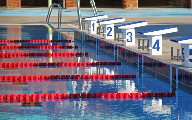 Olympic Pool Pictures | Download Free Images on Unsplash