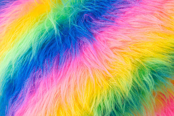 Rainbow Texture Pictures | Download Free Images on Unsplash