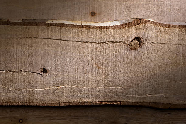 Free sawn wood stock photos. Download the best free sawn wood images at ...