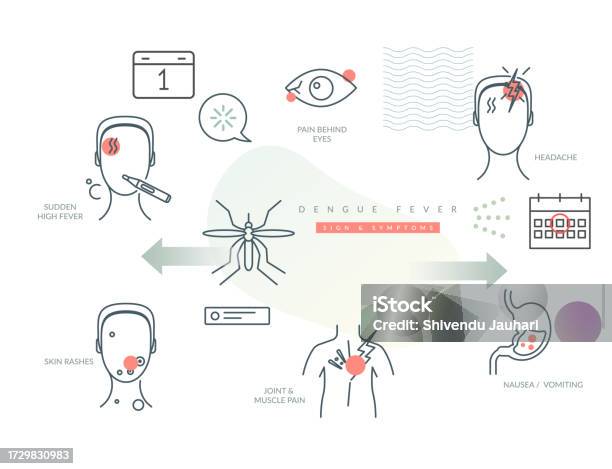 Dengue Fever Key Symptoms Stock Illustration Stock Illustration ... Dengue Fever Key Symptoms Stock Illustration Stock Illustration ...