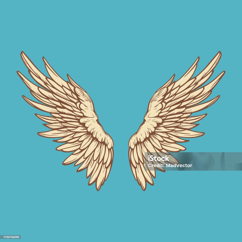 Vector Wings Icon Vintage Angel Wings Icon Design Template Clipart
