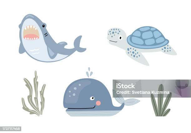 Ensemble Danimaux Marins Mignons De Dessin Animé Illustration