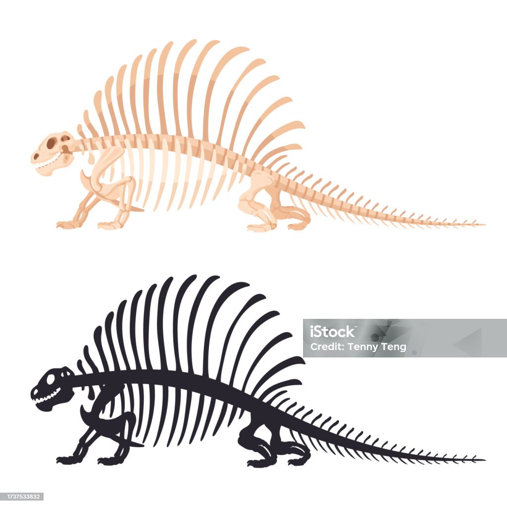 Kerangka Dino Kartun Fosil Dinosaurus Purba Siluet Tulang Ilustrasi ... Kerangka Dino Kartun Fosil Dinosaurus Purba Siluet Tulang Ilustrasi ...