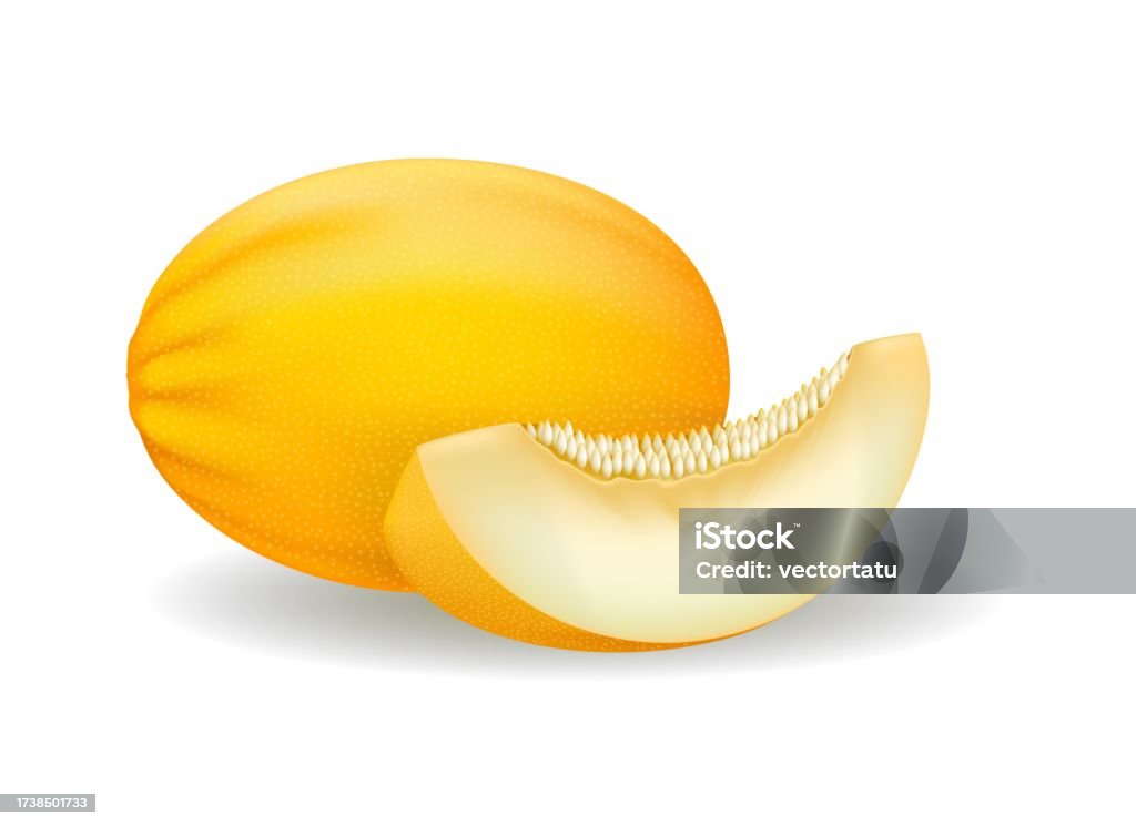 Canary Melon Realistic Stock Illustration - Download Image Now - Close ... Canary Melon Realistic Stock Illustration - Download Image Now - Close ...