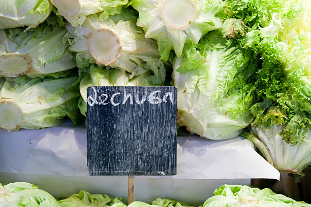 Lechuga Pictures | Download Free Images on Unsplash