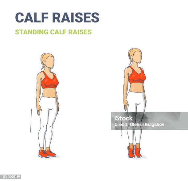 Girl Doing Calf Raises Exercise Woman Home Workout Guidance Stock Illustration Download Image