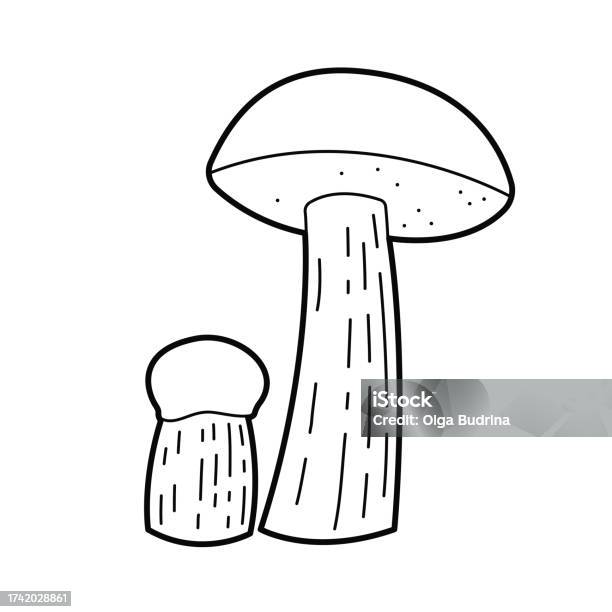 Mushroom Orange Cap Boletus Spongy Mushroom Vector Black White Outline