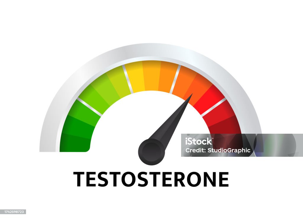 Vetores De Medidor De Testosterona Escala De Medição Do Nível Hormonal