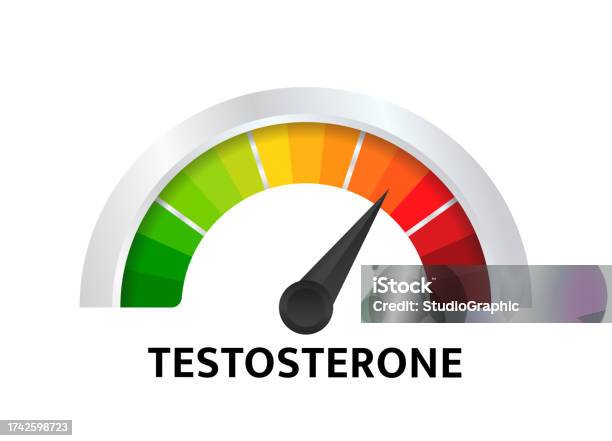 Meter Of Testosterone Hormone Level Measuring Scale Molecular Chemical