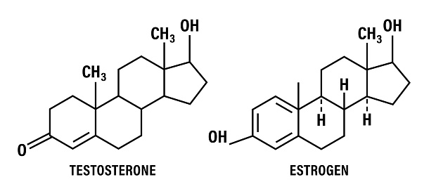 Structural Chemical Formulas Of Testosterone Molecule Molecular