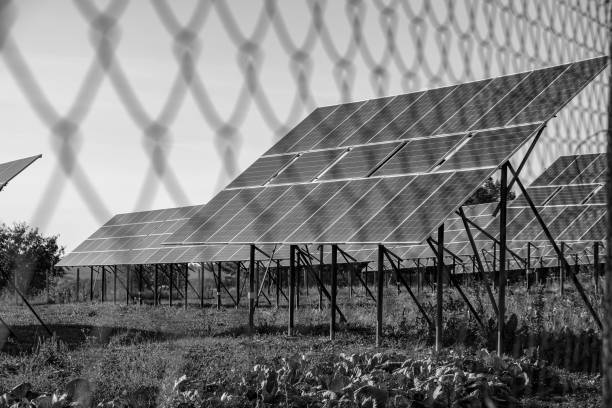 Free Stock Photo of Row of Solar Panels in Black and White | Download ...