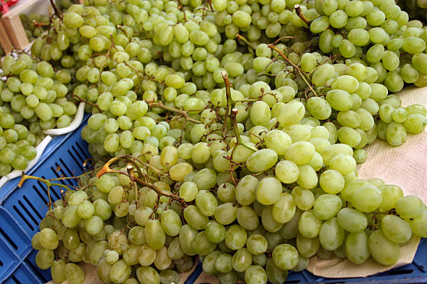 Thompson Seedless, Sultana, Vitis Vinifera, Variedad De Uva Con Pálidos ... Thompson Seedless, Sultana, Vitis Vinifera, Variedad De Uva Con Pálidos ...