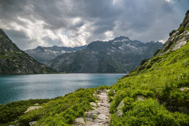 Free Stock Photo of Mountain Lake Trail in the Wilderness | Download ...