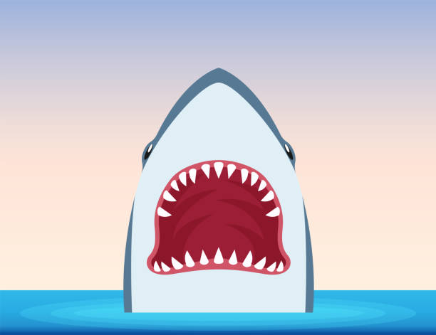 Shark mouth Clipart Vector PNG , SVG, EPS, PSD, AI