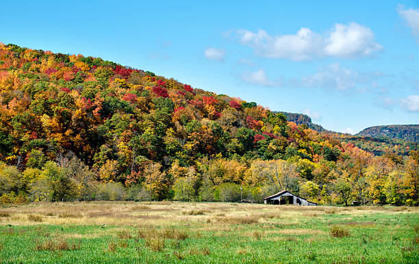 Ozarks Pictures | Download Free Images on Unsplash