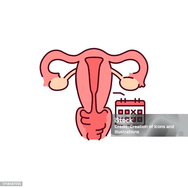 Ikon Garis Warna Mioma Uterus Masalah Ginekologi Ilustrasi Stok Unduh