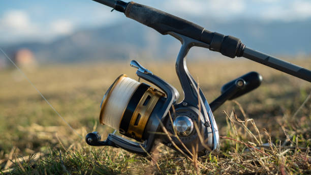 Free Stock Photo of Man Riding Fish With Fishing Rod | Download Free ...