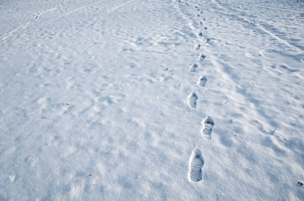 Free Stock Photo of Footprints on Snow Covered Ground | Download Free ...