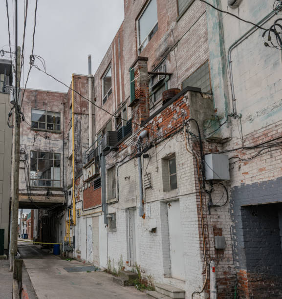 Free Stock Photo of Back alley behind bar - back entrance | Download ...