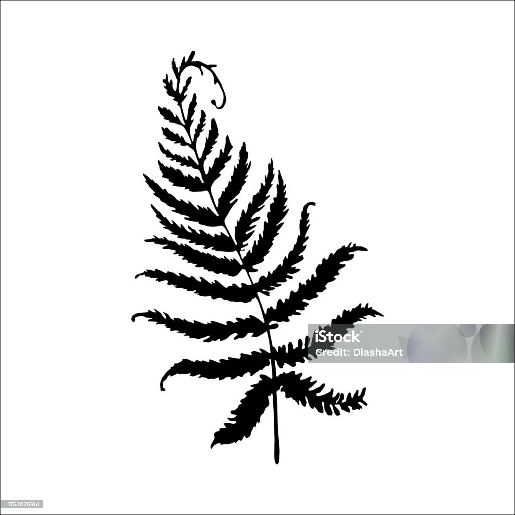Hand Drawn Herbal Floral Clipart One Line Doodle Vector Stock