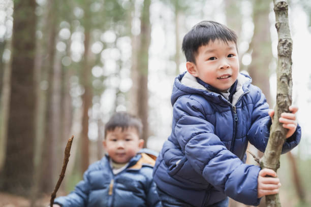 Free Stock Photo of Boy in Blue Jacket Climbing Over Log | Download ...