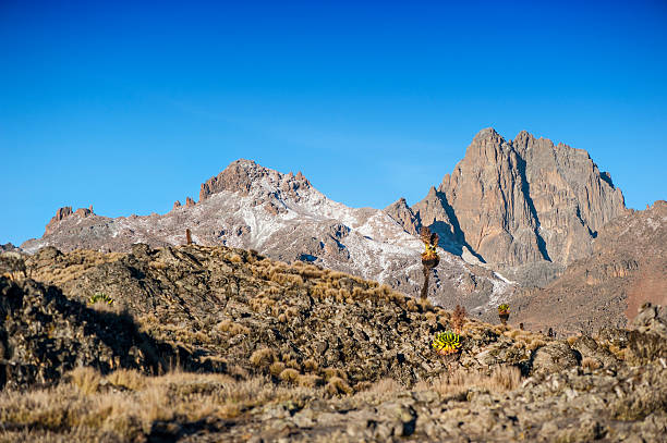 Mt Kenya Pictures | Download Free Images on Unsplash
