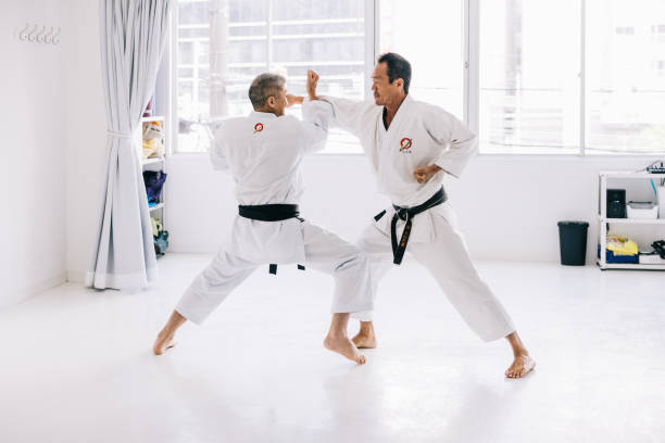 Free Stock Photo of Two People Practicing Karate | Download Free Images ...
