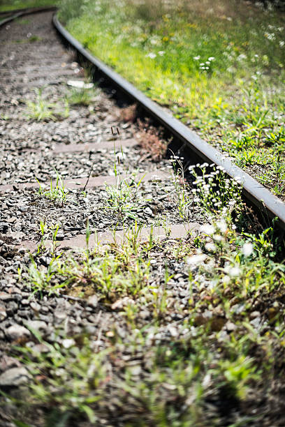 Free Stock Photo of Old railroad tracks overgrown with gravel ...