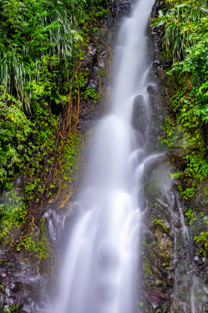 Free Stock Photo of Majestic Waterfall Pouring Water | Download Free ...