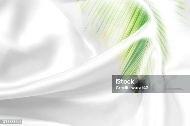 Green Palm Leaves Pattern Overlay With White Fabric Texture Soft Blur