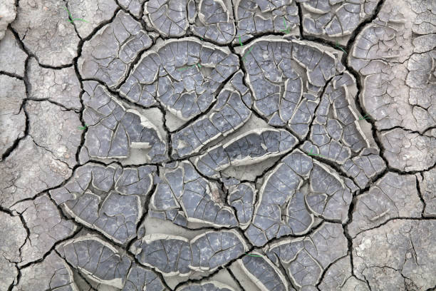 Free picture: Bright grey dry mud on ground in drought season