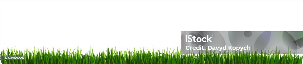 Vector Bright Green Realistic Seamless Grass Border Isolated On