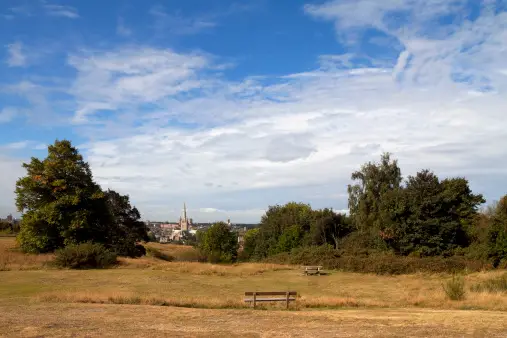 Parc De Norwich Photos Télécharger Des Images Gratuites Sur Unsplash