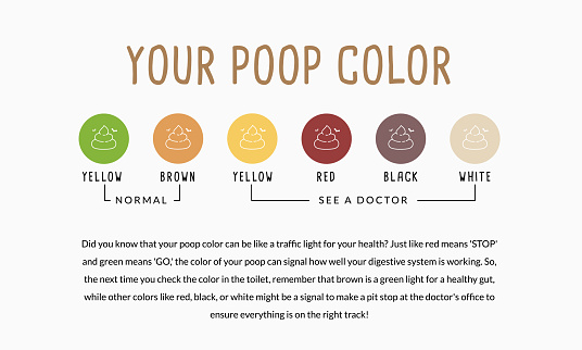 Illustration Of Fecal Color With A Simple Explanation Stock Illustration Download Image Now