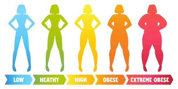 60 Obesity Chart Men Stock Illustrations Royalty Free Vector Graphics