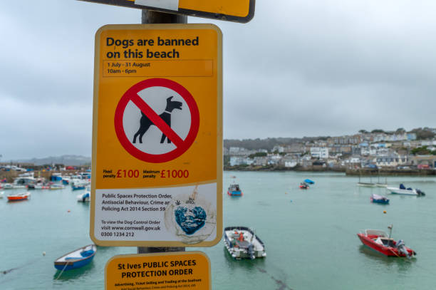 Free Stock Photo of No Dogs Allowed Sign on Beach | Download Free ...