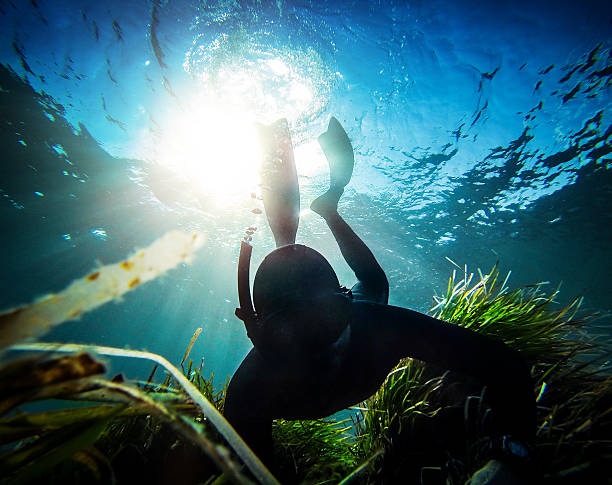 Spearfishing Pictures | Download Free Images on Unsplash