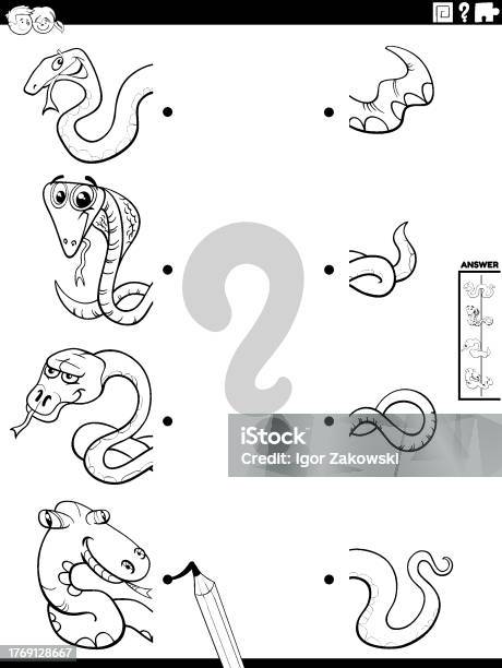 Cocok Dengan Separuh Ular Gambar Aktivitas Mewarnai Halaman Ilustrasi ... Cocok Dengan Separuh Ular Gambar Aktivitas Mewarnai Halaman Ilustrasi ...