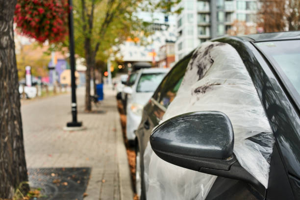 Free Stock Photo of Car Parked on Side of Street | Download Free Images ...