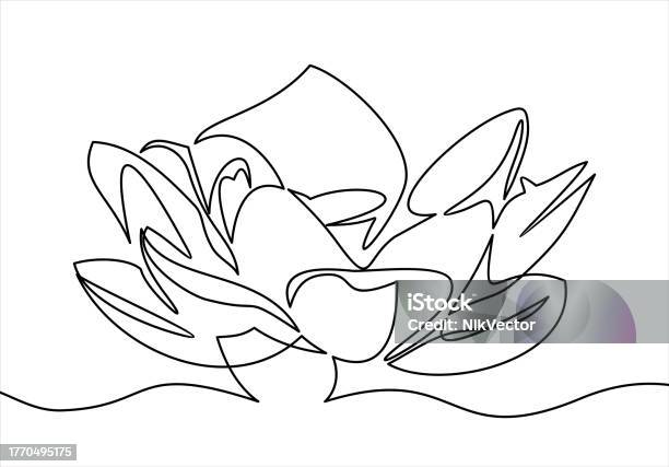 Hand Drawn Orchid Flowers One Line Drawingvector Illustration Stock