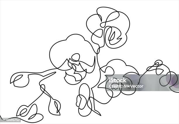 Hand Drawn Orchid Flowers One Line Drawingvector Illustration Stock