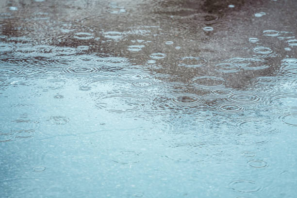 Rain Images: 10,000+ Free High-Quality Photos, Wallpapers, and ...