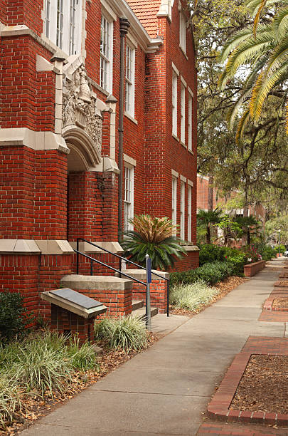 University Of Florida Pictures | Download Free Images on Unsplash