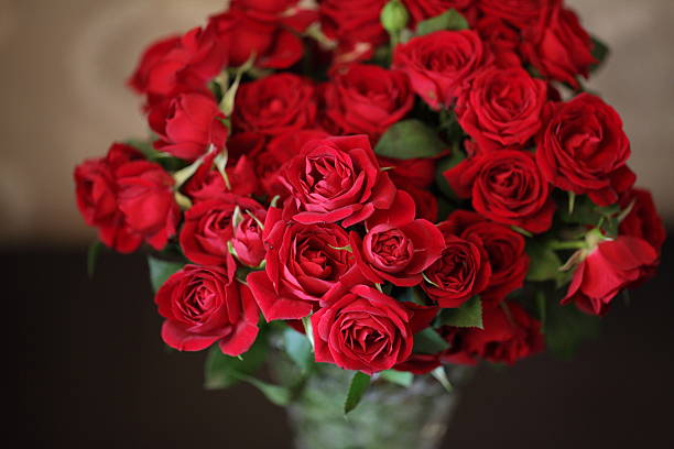 Free picture: vase, red roses, still life
