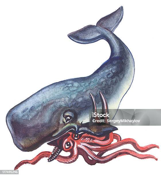 Cachalot 오징어 오징어에 대한 스톡 벡터 아트 및 기타 이미지 오징어 고래 대형 Istock