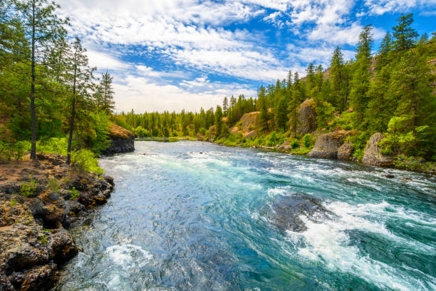 Stream Creek River - Free photo on Pixabay