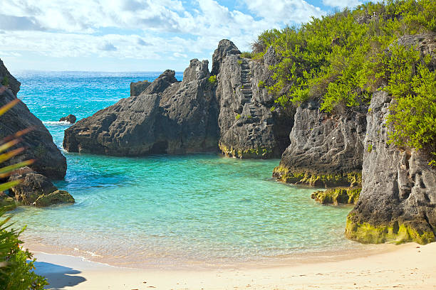 Bermuda Pictures | Download Free Images on Unsplash