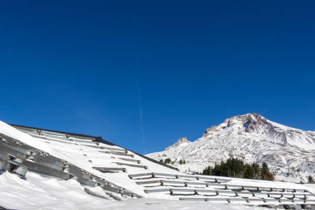 Free timberline stock photos. Download the best free timberline images ...